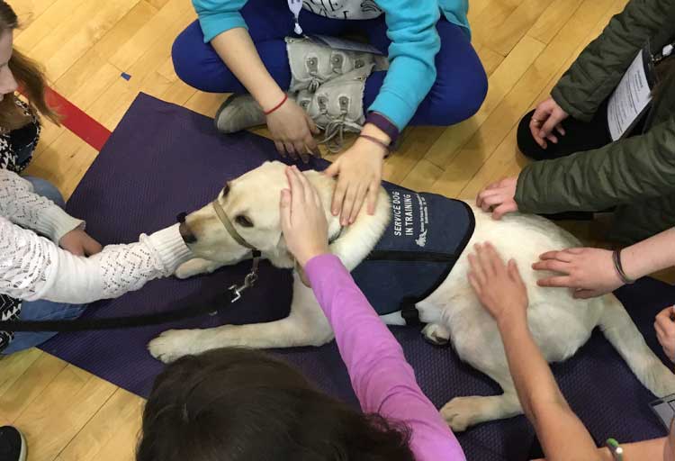 West Pharmaceutical Services, Inc.